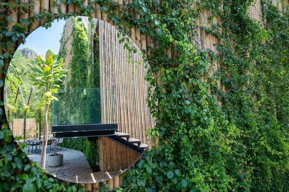UK households urged to put mirrors in gardens