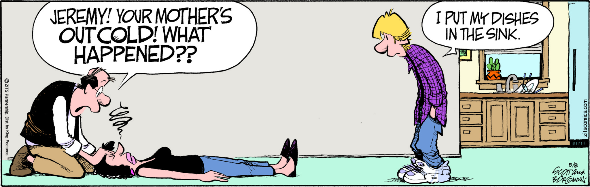 Zits by Jerry Scott and Jim Borgman
