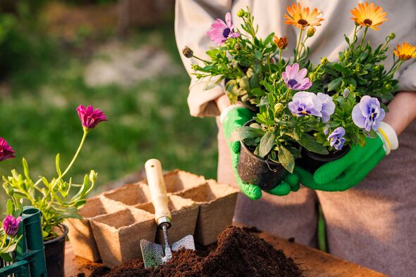 Gardeners told to 'hold off longer' as common mistake could be killing ...