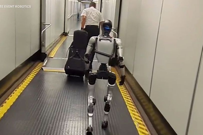 Robot passenger 'traveling for work' causes Southwest flight delay ...