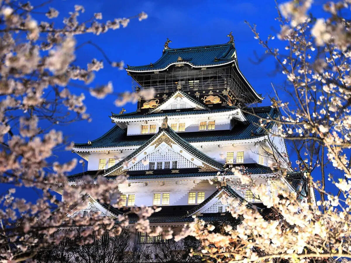 7 best things to do in Japan on a budget