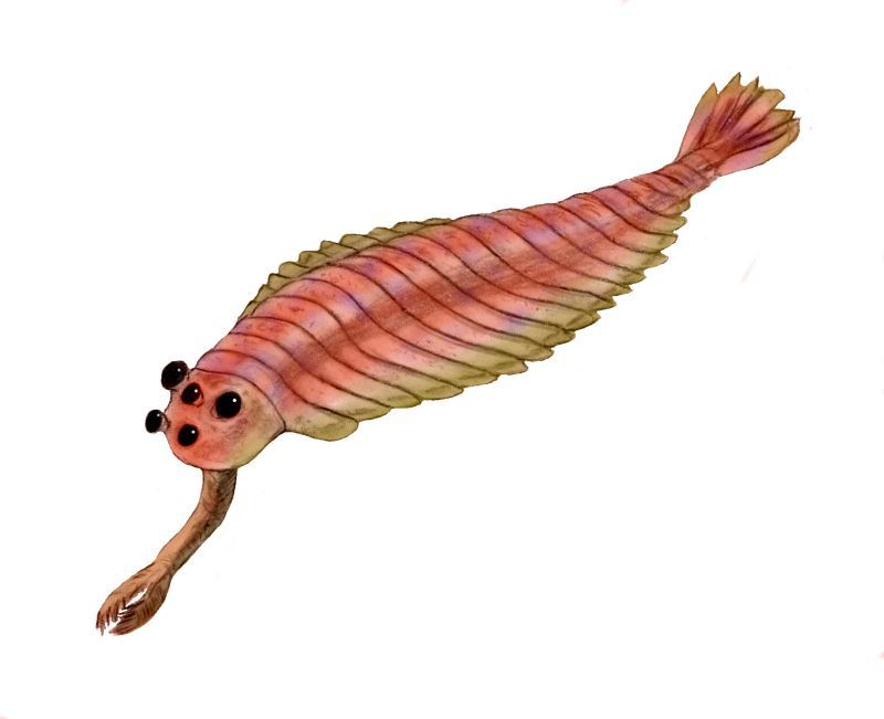 20 extinct animals so strange they sound like fantasy creatures