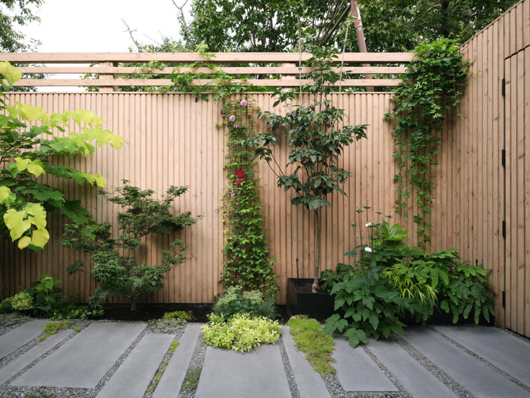 How can I create a more private garden without buying anything new?