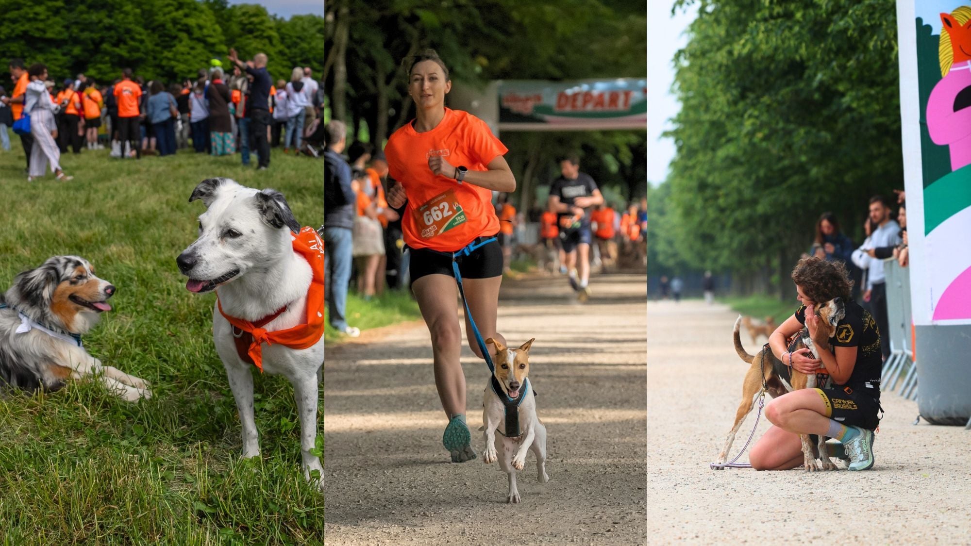 Une grande course avec des animaux pour la SPA en mai