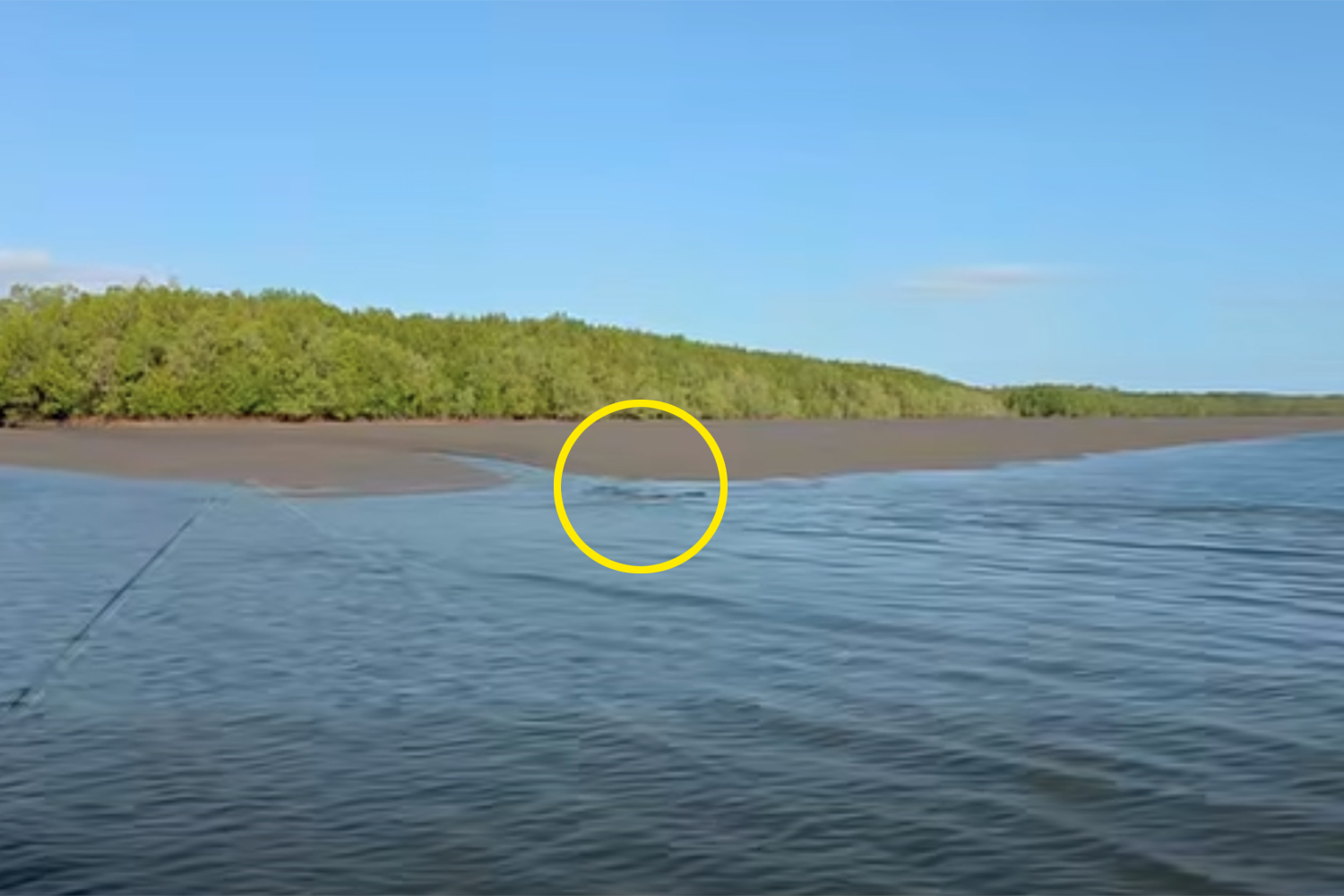 Fisherman spots wild scene in Aussie river at low tide: 'Demolish ...