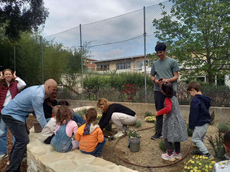 Más allá de plantar flores: renaturalizar los patios escolares, una ...