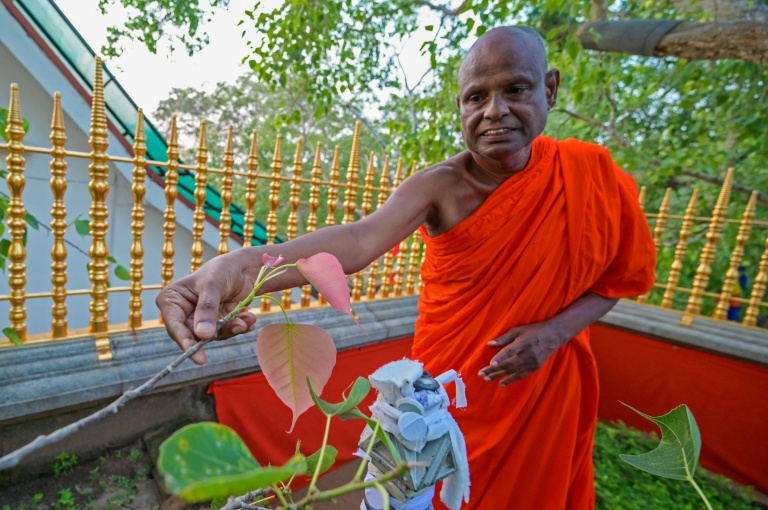 Top Sri Lankan Buddhist monk arrested over alleged sex abuse
