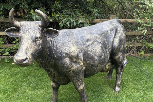 'He called me a cow‑yed — so I called him a pie eater'