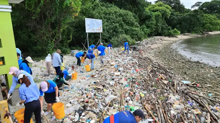 Pantai Tanjung Pasir hingga Pulau Damar dipenuhi sampah plastik, riset ...