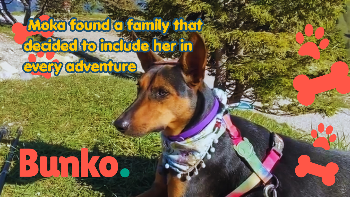 Moka found a family that decided to include her in every adventure