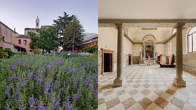 Oases, sonic prayers and nurture: Venice Biennale 2026 invites visitors ...
