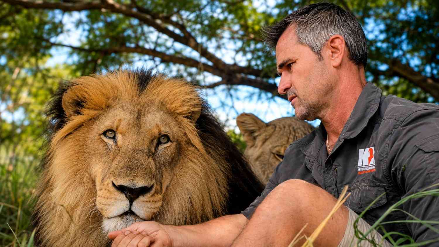 A grumpy hot lion reunion went sideways fast