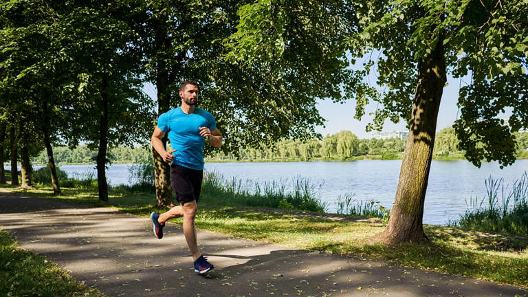Die grobe Struktur für dein Lauftraining: Makroperiodisierung: Plan für ...