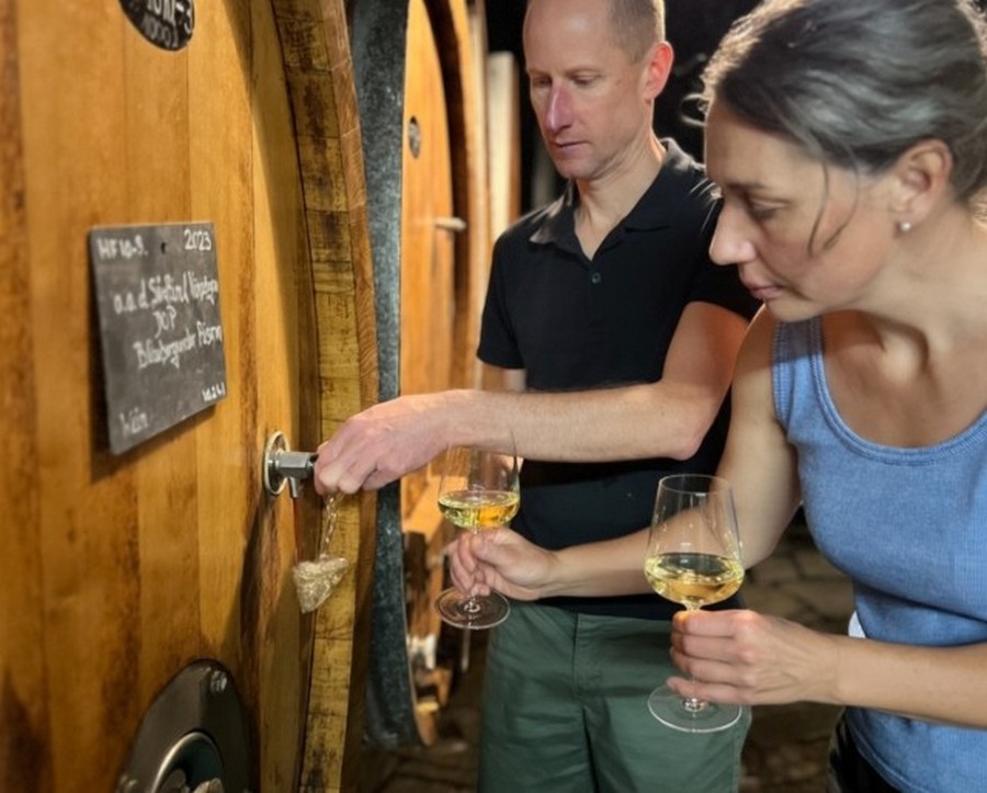 Il Riesling sotto il castello di Messner: il vino dell’Alto Adige che ...