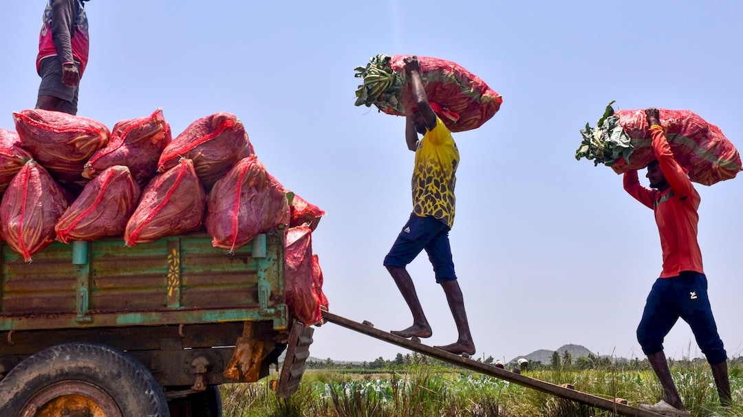 Labour reforms: Government fully operationalises four new codes by ...