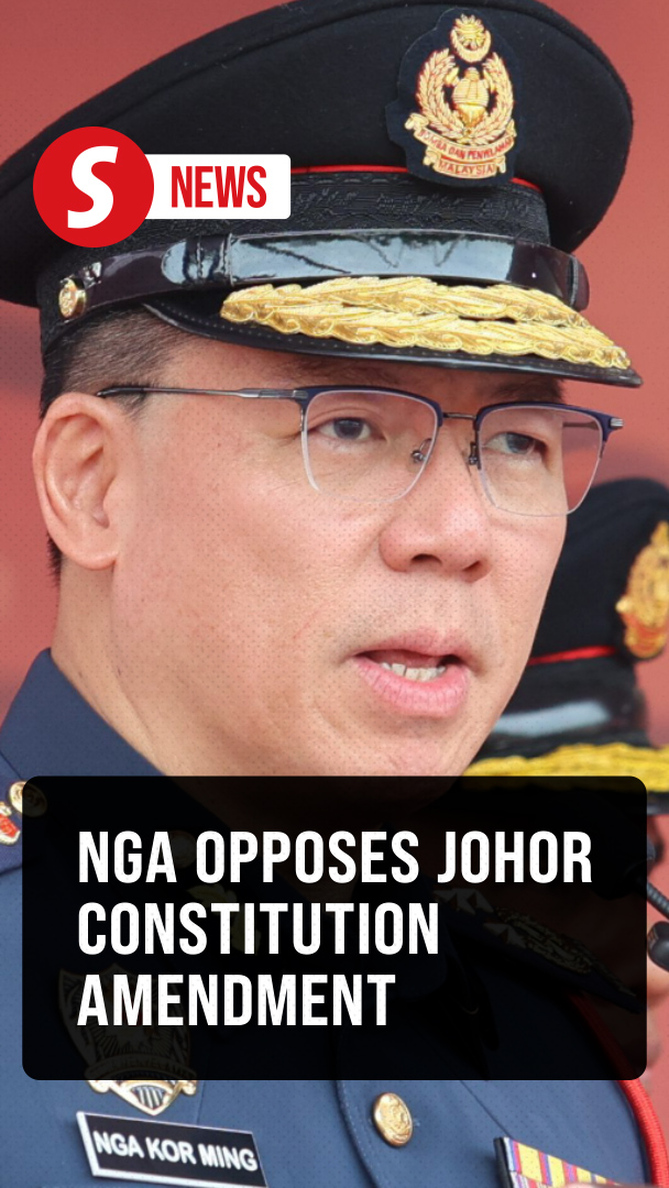 Nga urges Johor to review plan to appoint five nominated assemblymen
