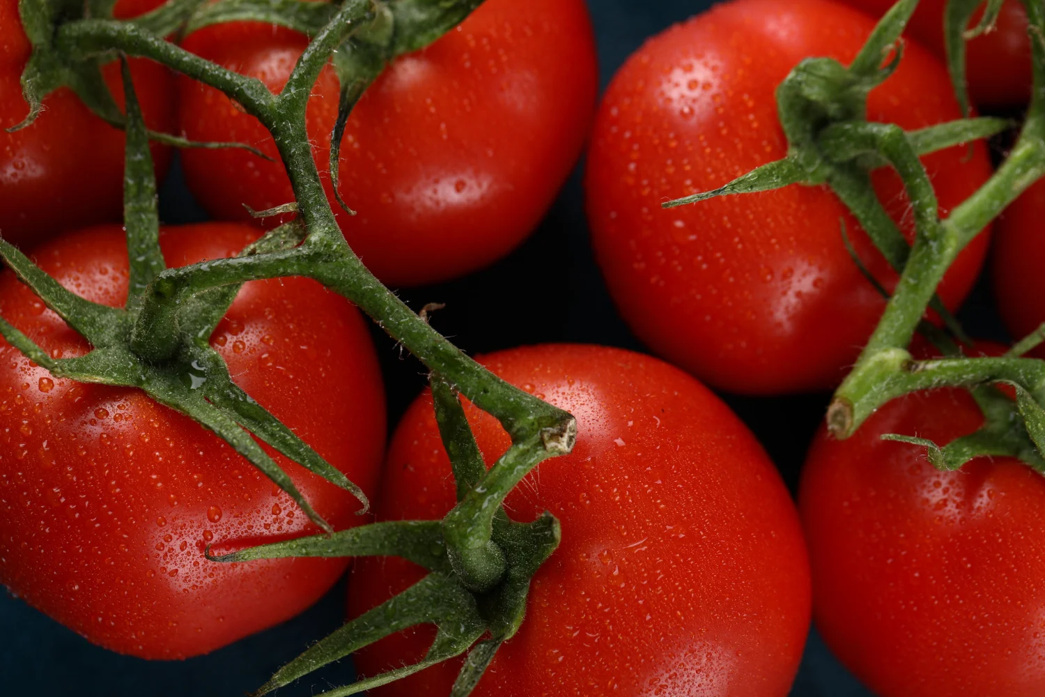 El truco de Dani García para un tomate aliñado perfecto: mostaza y ...