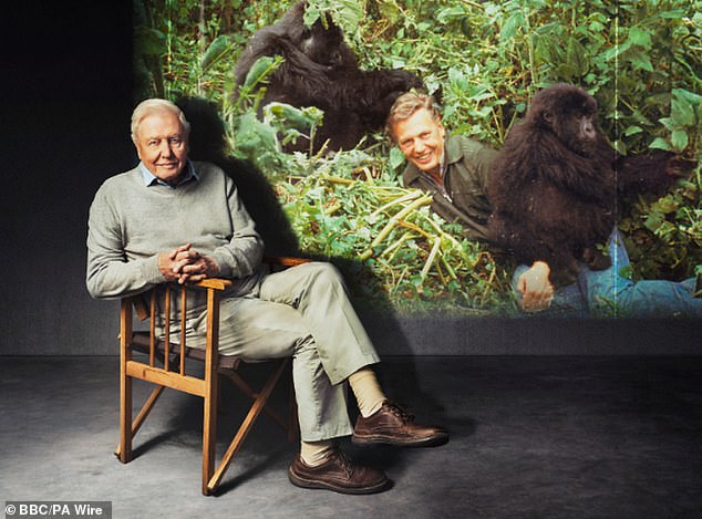 Scientists reveal why David Attenborough's voice makes him the perfect ...