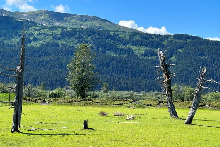 Up close to Alaska’s glaciers: A summer journey from Anchorage to Seward