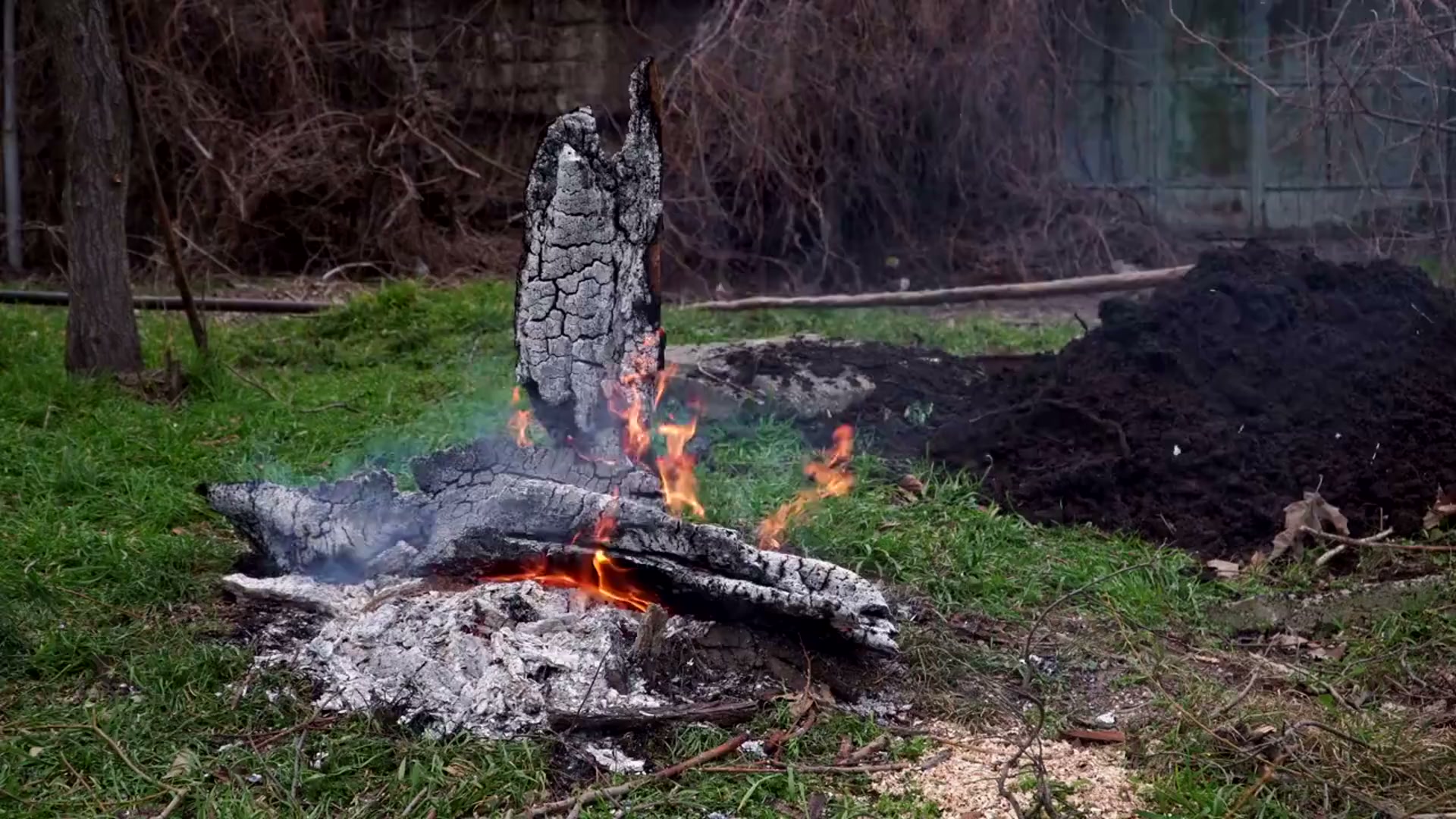 Wisconsin backyard tree explodes after sudden lightning strike
