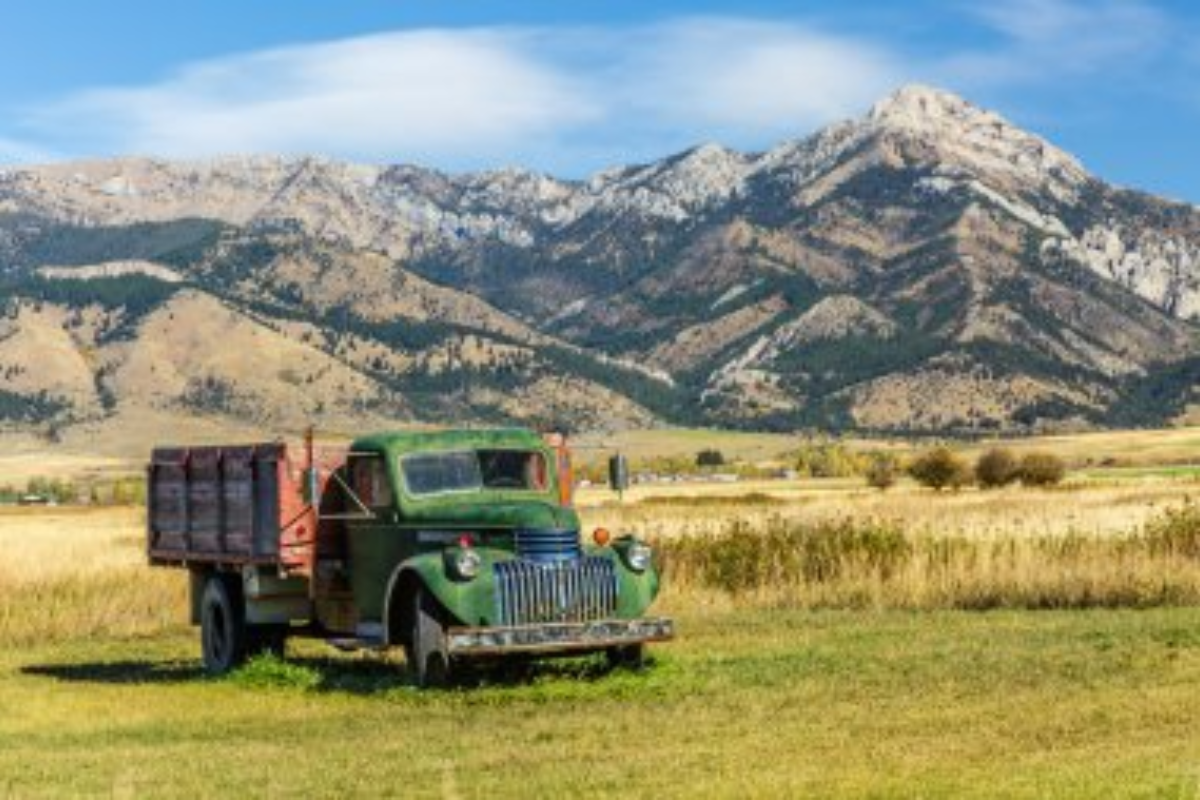 15 best outdoor experiences in Bozeman, Montana for nature lovers