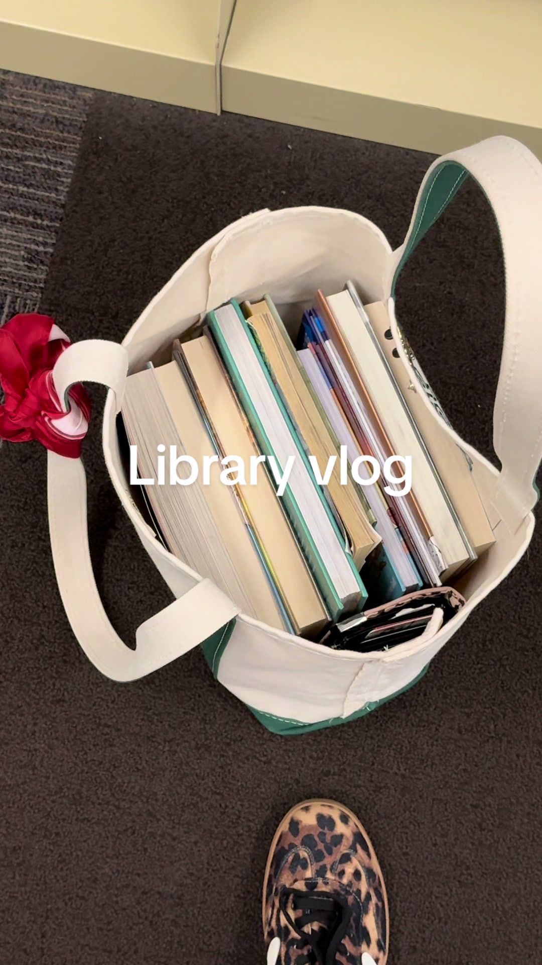 Library collection checked out for winter vacation