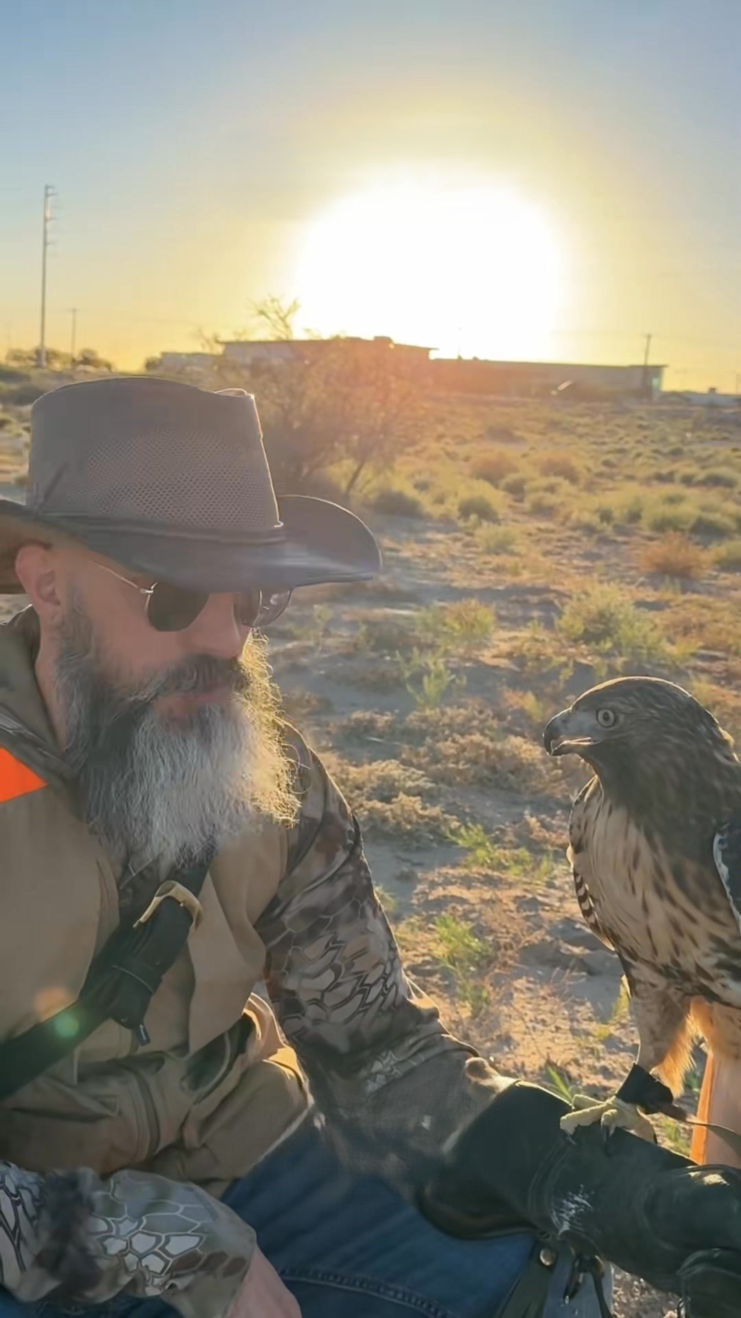 Rio returns to action in the desert