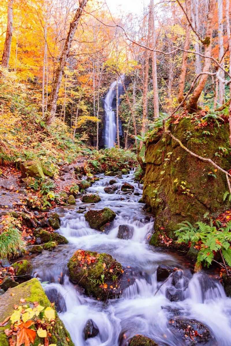 13 places in northern Japan that tourists rarely reach