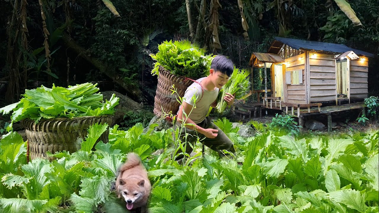 Off-grid forest life with gardening, harvesting, and puppies