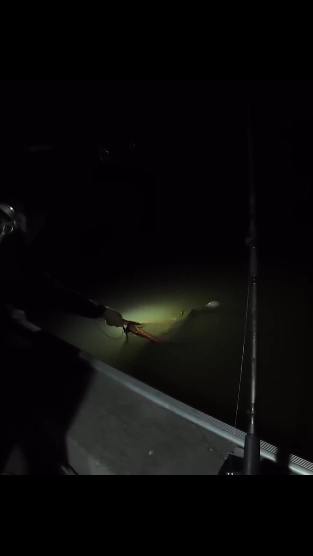 Catching a 40-pound catfish