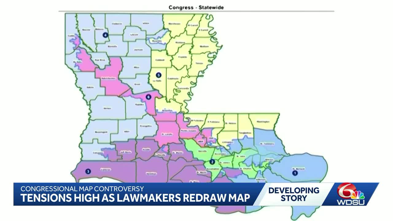 Tense Senate meeting sparks conversation about political representation