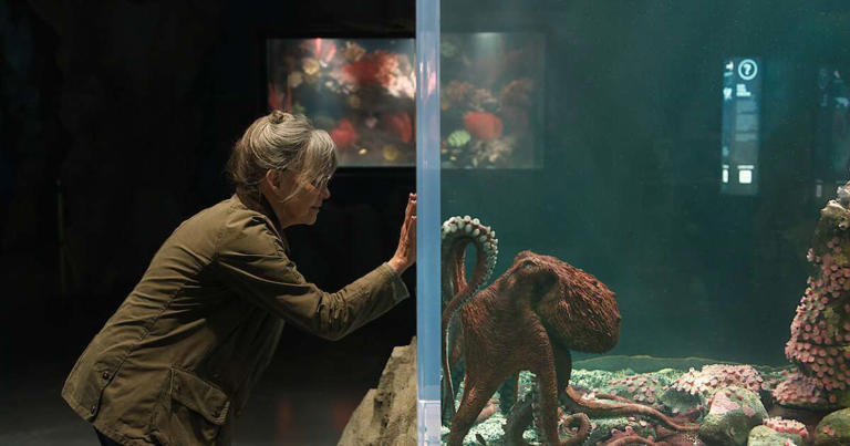 Where was Remarkably Bright Creatures filmed? All filming locations ...