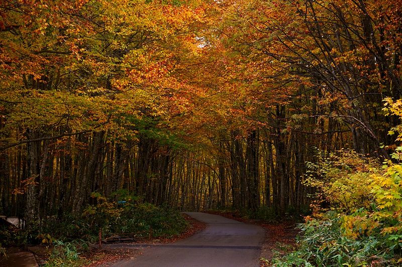 13 places in northern Japan that tourists rarely reach