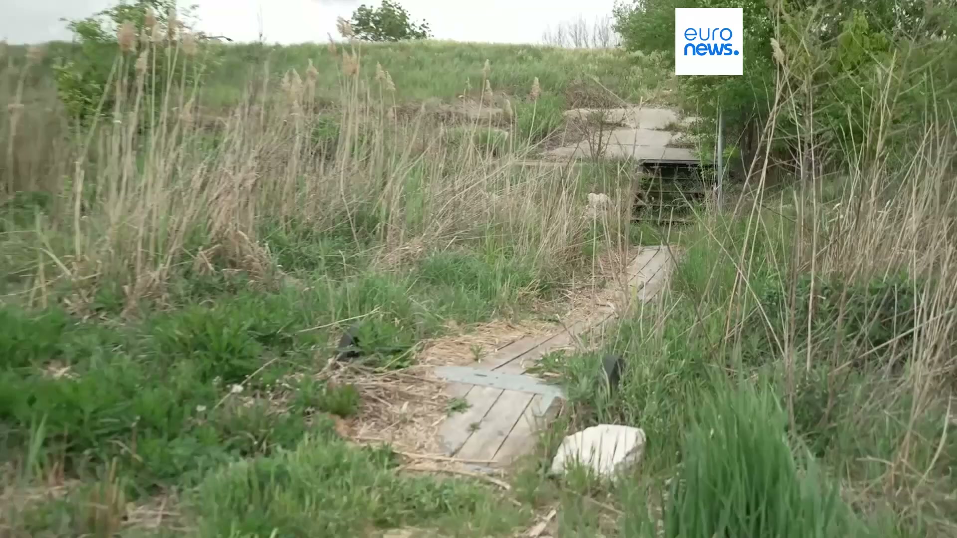 Hungary drought deepens as the Great Plain turns dusty and rivers dry up