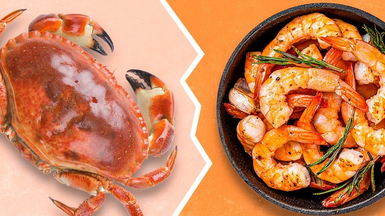 Crab meat vs shrimp: Which has more protein?