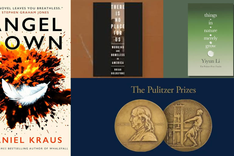 The 2026 Pulitzer Prize book winners reflected a world of grief ...