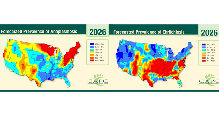 Why this tick season could be the worst in a decade