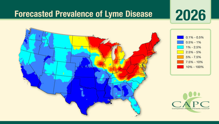Why this tick season could be the worst in a decade