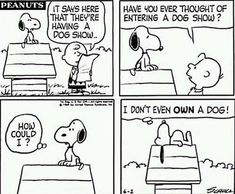 10 best Snoopy quotes in Peanuts history