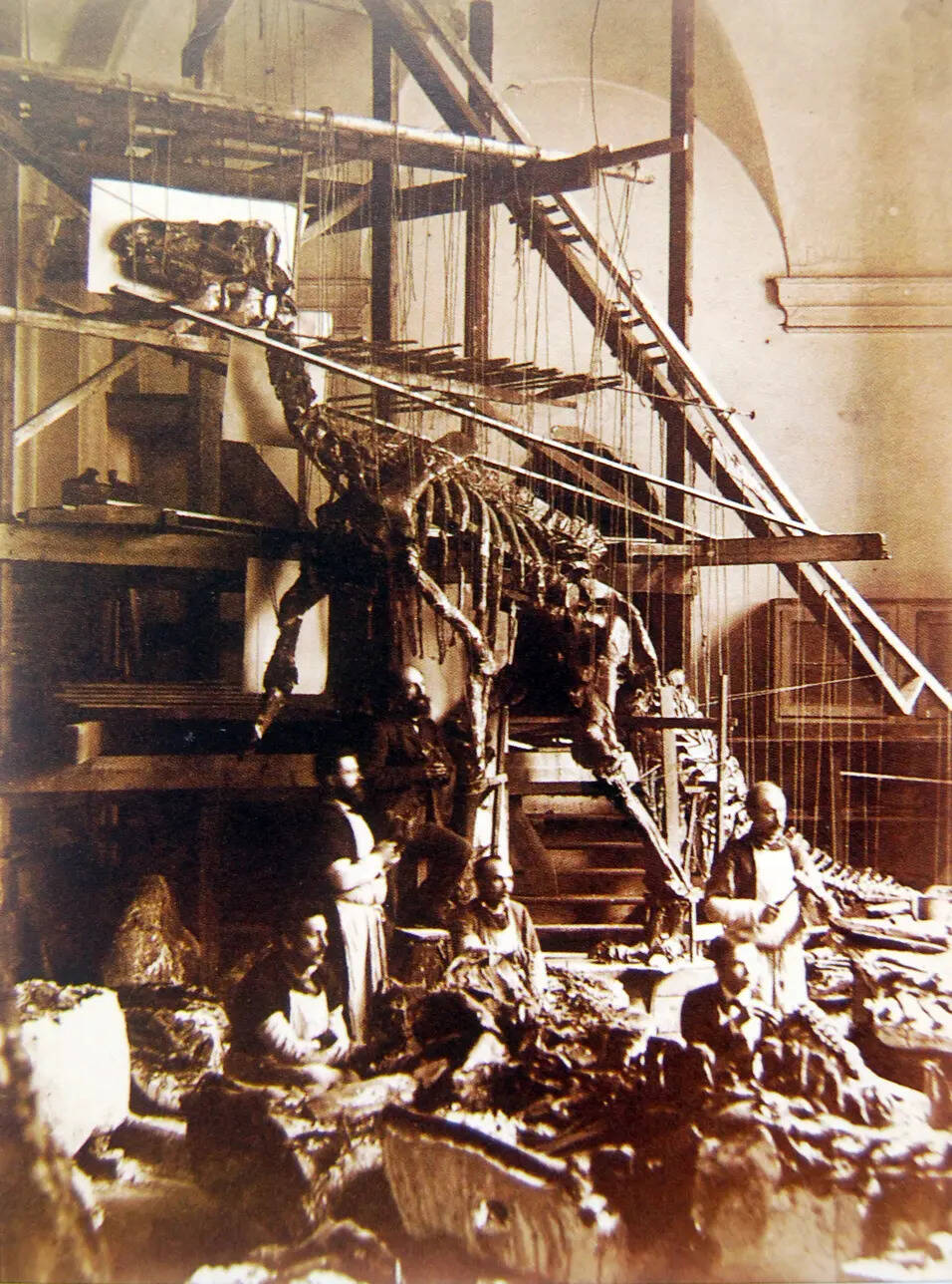 In 1878, coal miners struck a glittering seam of fool's gold and ...