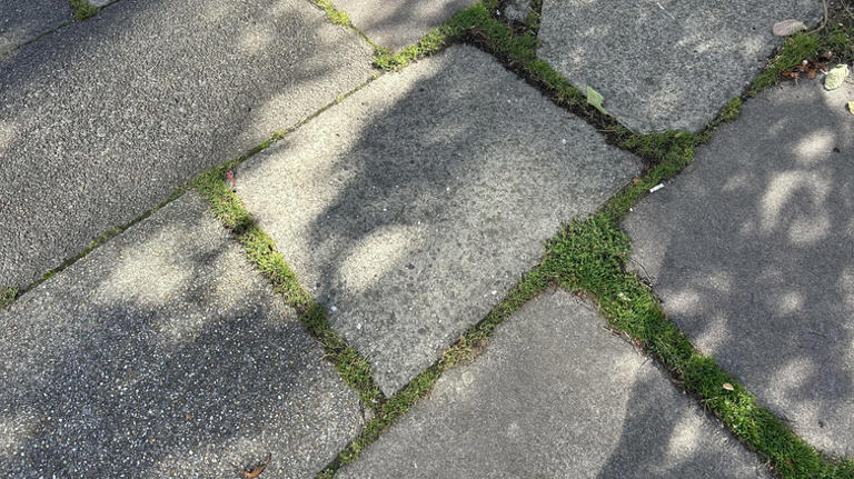 12 innovative garden path upgrades that can make your yard more inviting