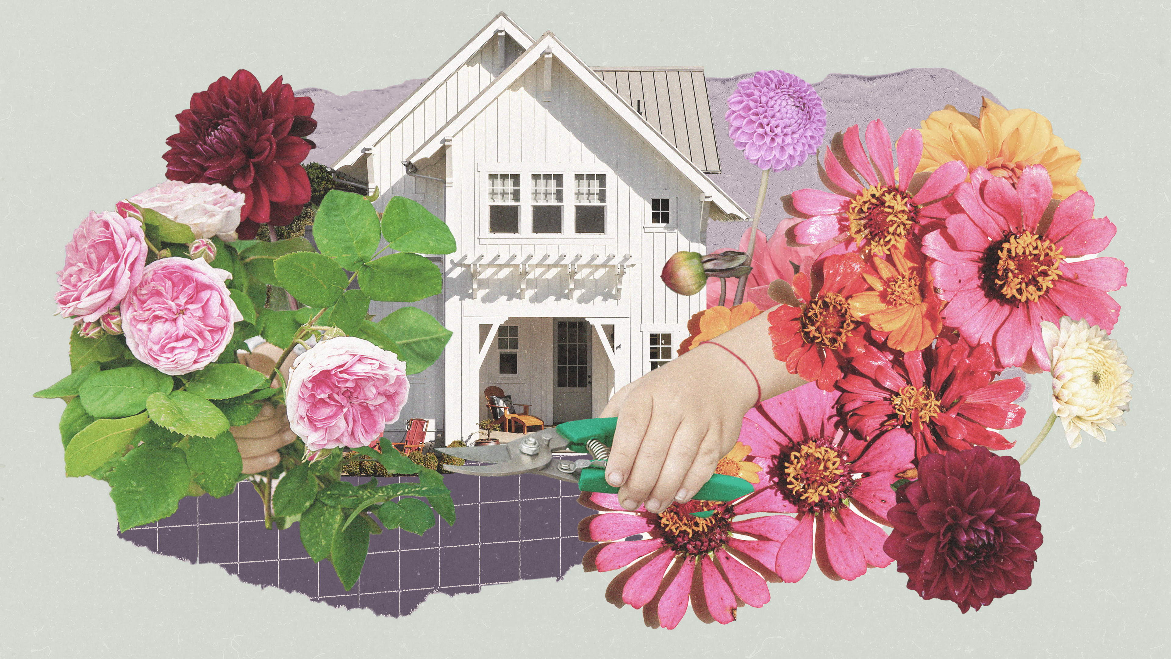 27 summer flowers to add a rainbow’s worth of color to your garden all ...