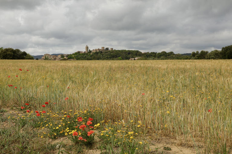 La primavera cromática de Pals