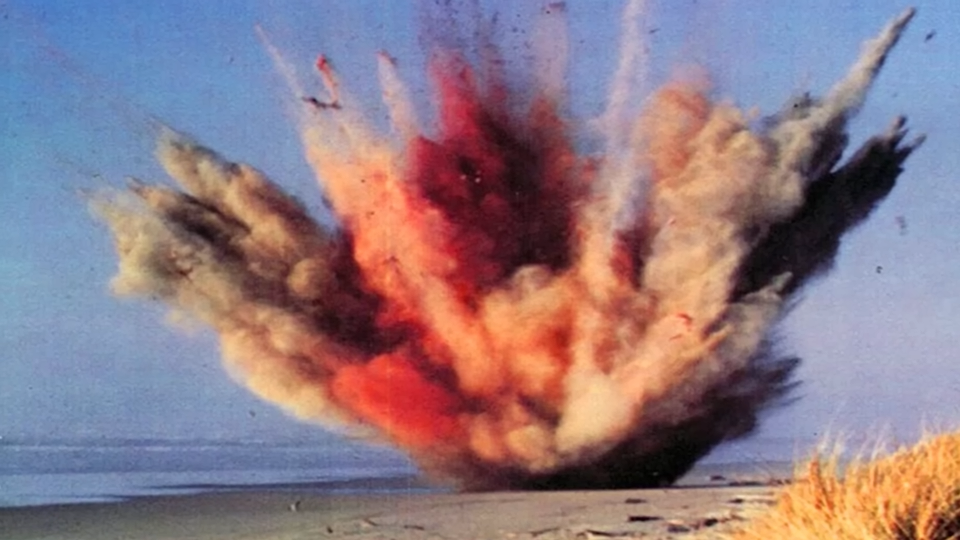 1 toter Wal, 20 Dynamitstangen – und alles explodiert