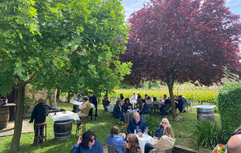 Vino, brasas y viñedo: Pago de Larrea celebra su Día del Tempranillo