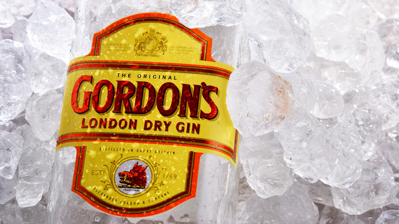 15 gin brands, ranked worst to best