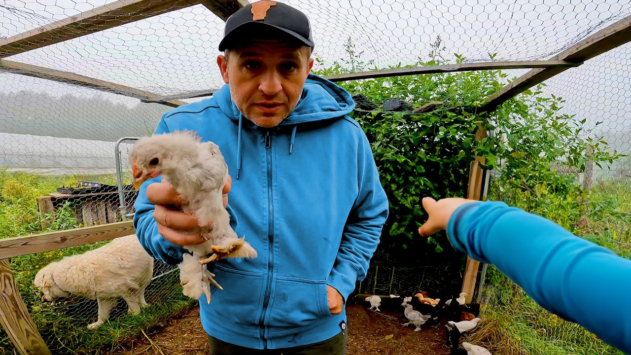 See an incredible weekend with a family spent on the farm