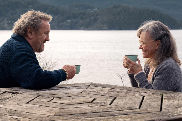 Netflix’s ‘Remarkably Bright Creatures’ movie almost cut this book ...