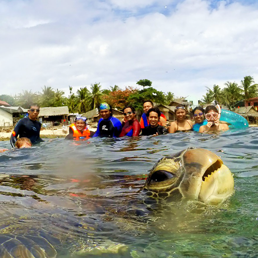18 animals that were clearly photobombing on purpose