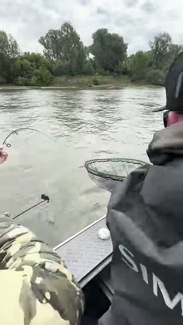 I’ve caught a lot of fish in my life, but I was not ready for how hard ...